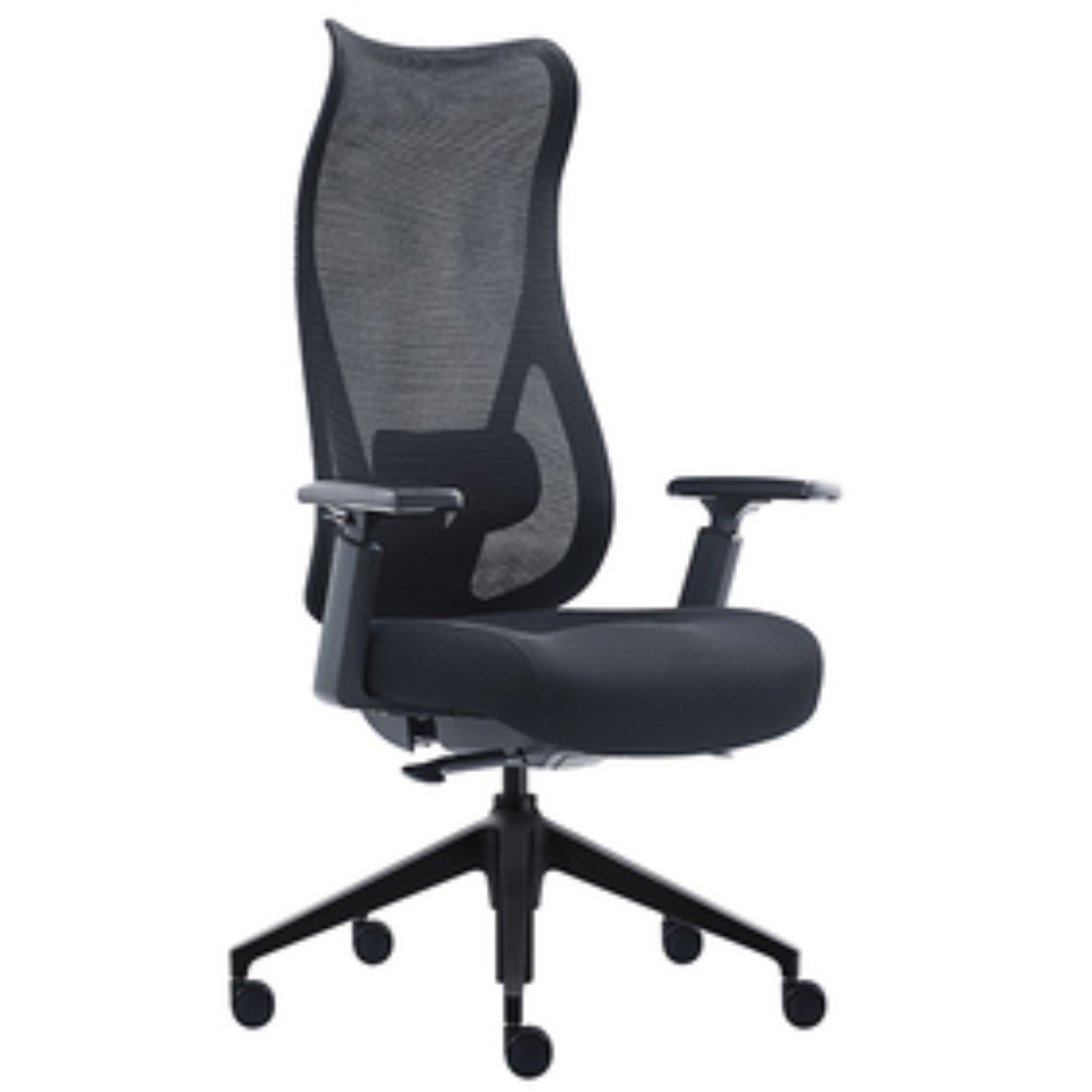 Chairs & Accessories - Razor Executive Chair High Back With Arms Black ...